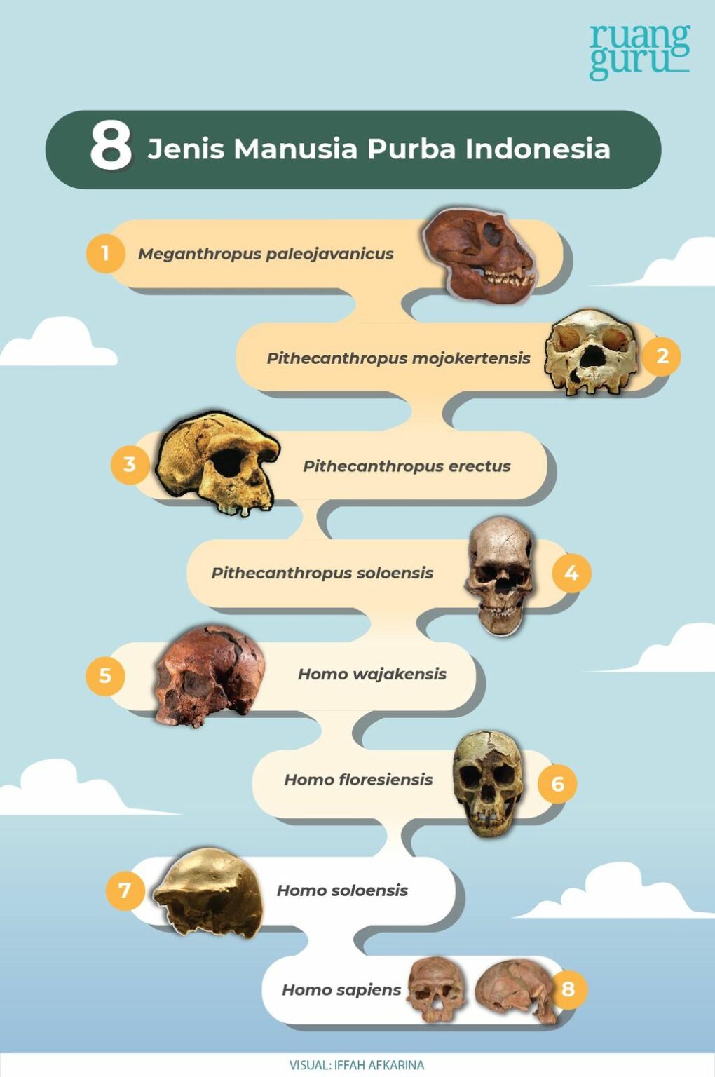 10 Jenis Manusia Purba dan Penjelasan Ilmiahnya