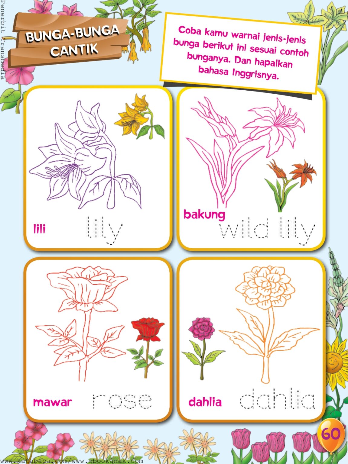 10 Macam Bunga yang Cocok untuk Pendidikan Anak TK